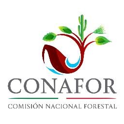 Últimas Noticias – El Matutino de Cd. Victoria